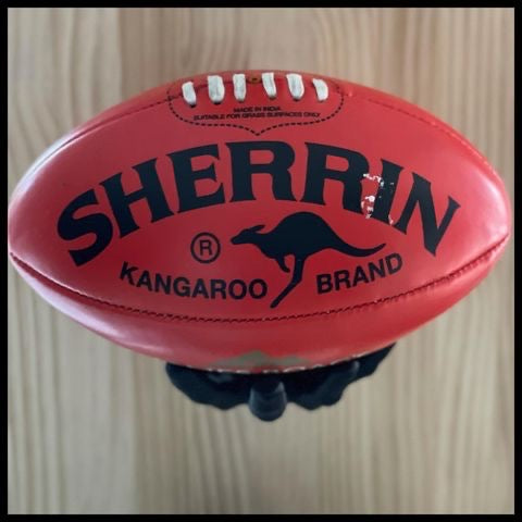 AFL Ball Hand Holder - Buy Football Holder Online | Hold My Ball